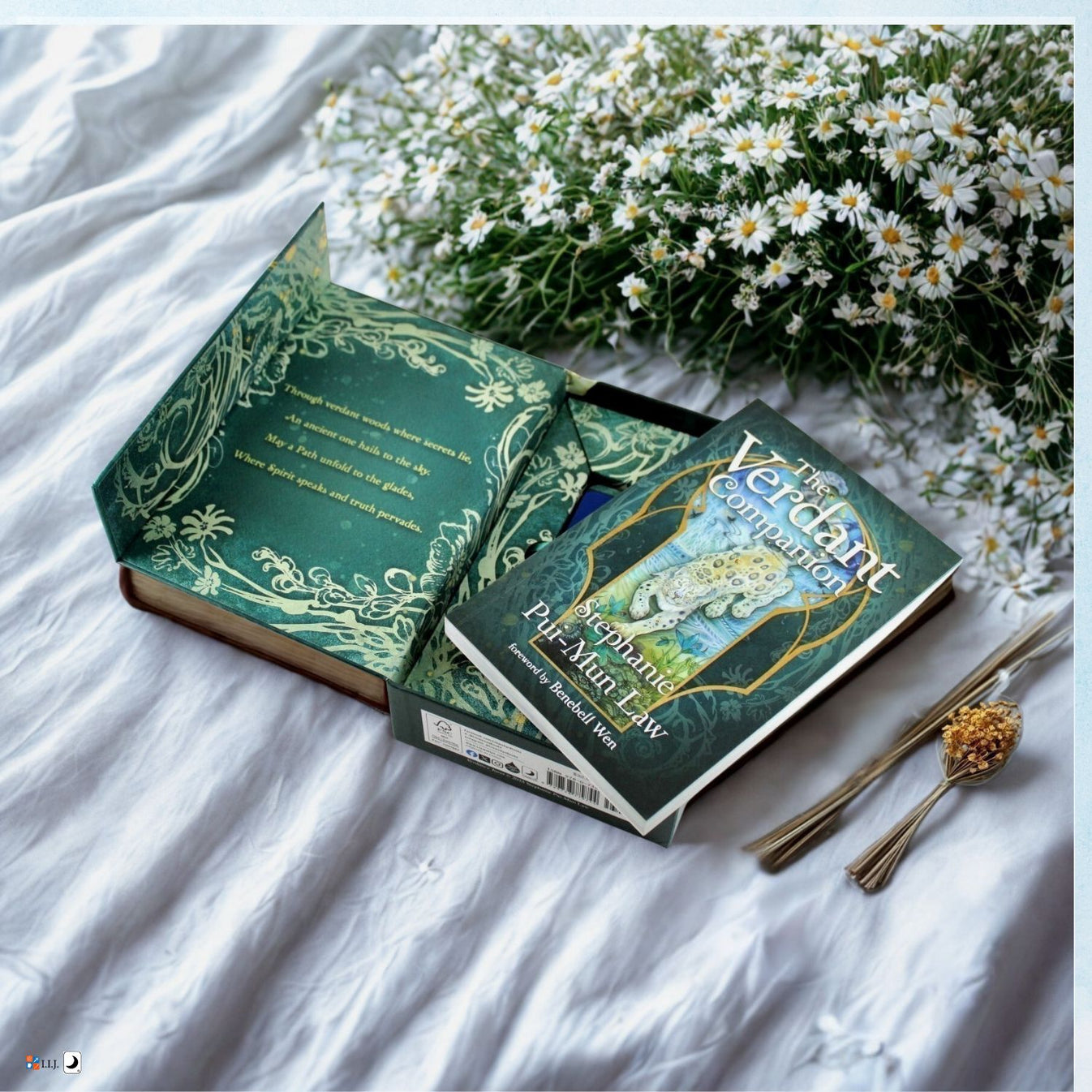 ヴァーダンス・タロット Verdance Tarot – クロノスゲート公式通販